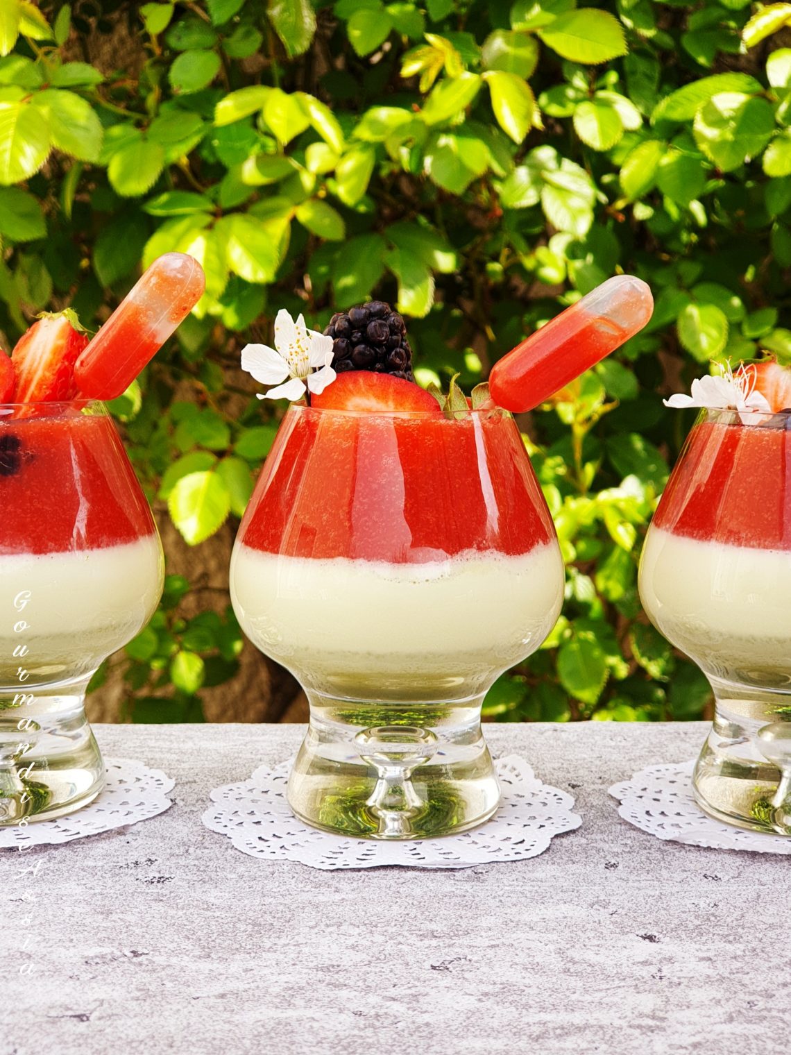 Panna Cotta Pistache et Fruits Rouges Foodista Challenge | Gourmandise ...