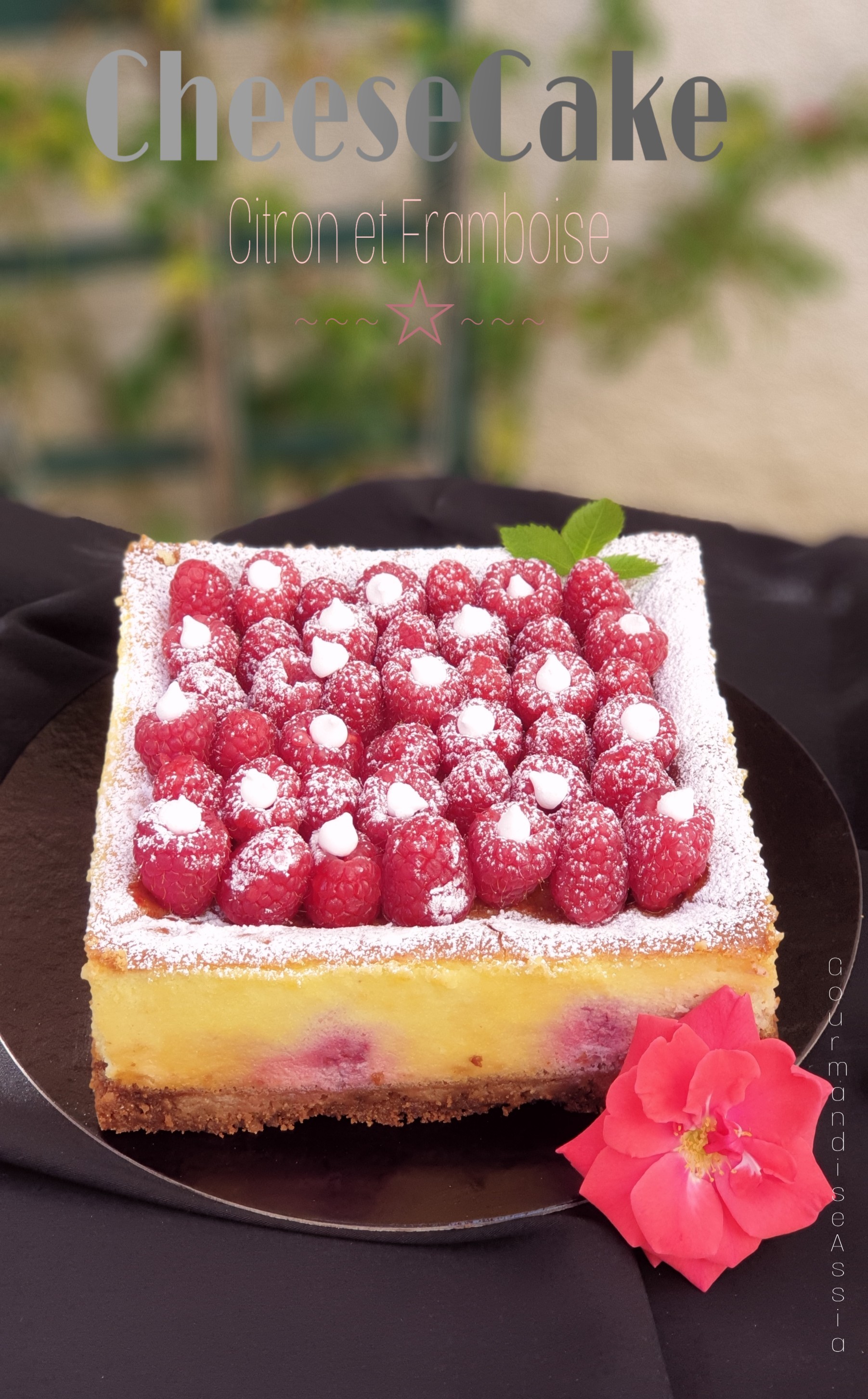 CheeseCake aux Fruits Rouges | Gourmandise Assia