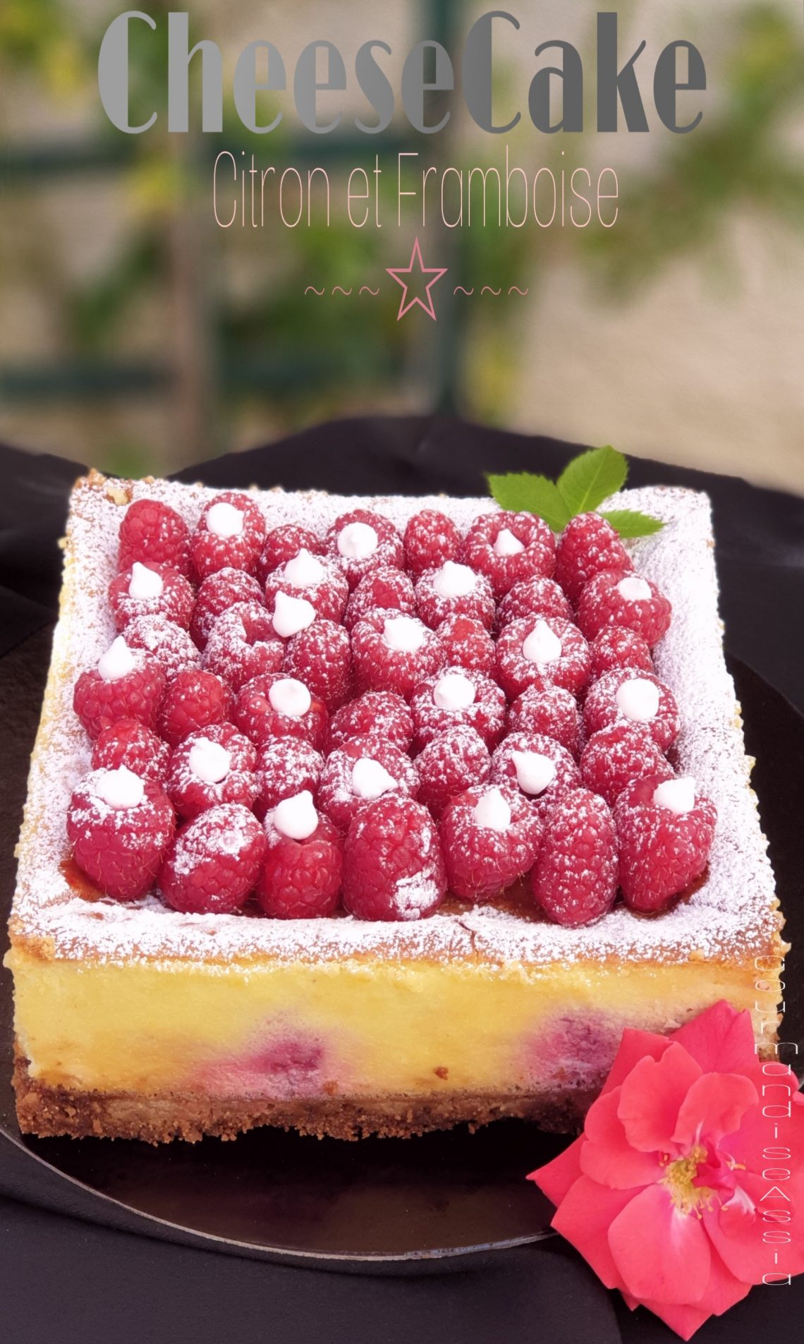 CheeseCake aux Fruits Rouges | Gourmandise Assia