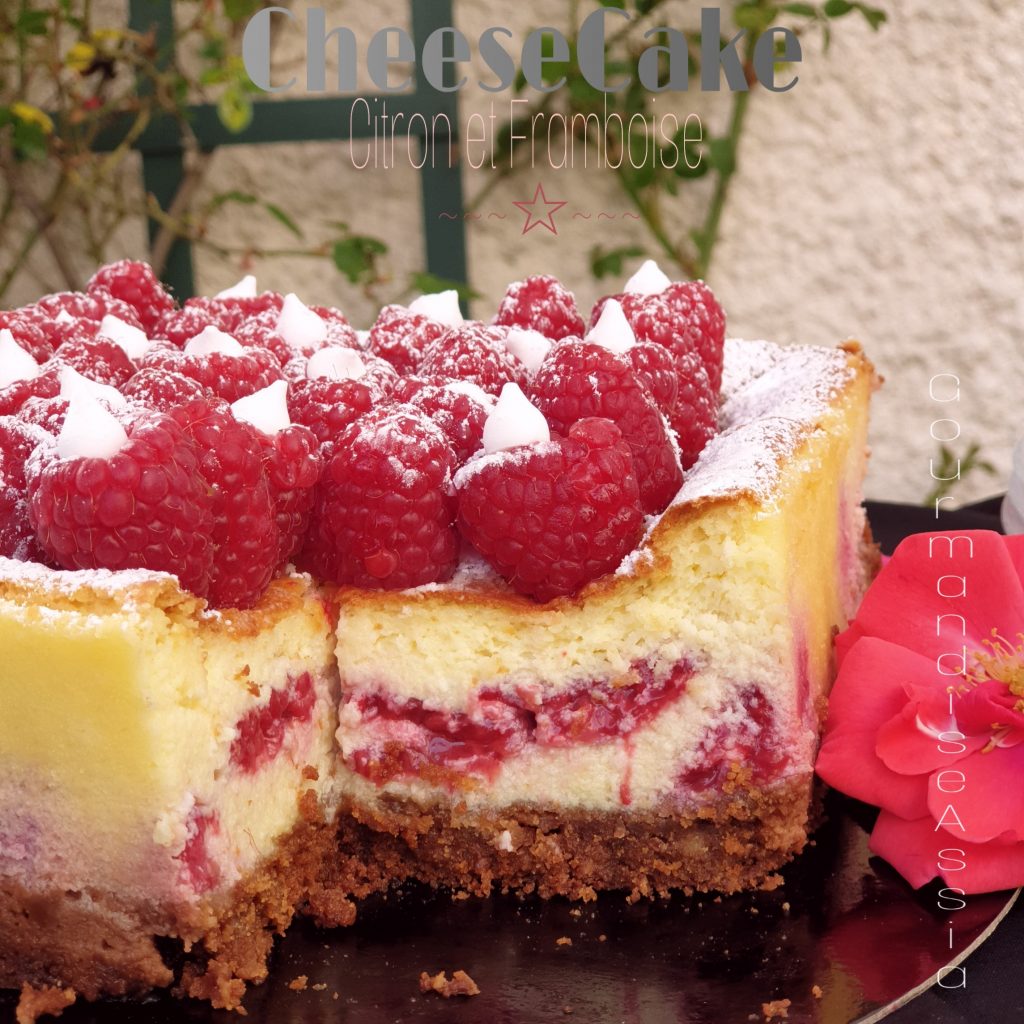CheeseCake aux Fruits Rouges | Gourmandise Assia