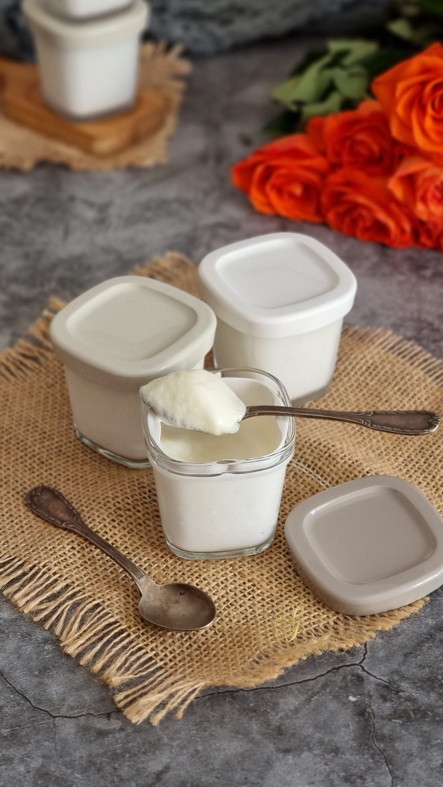 Skyr Maison à la Multidélice | Gourmandise Assia